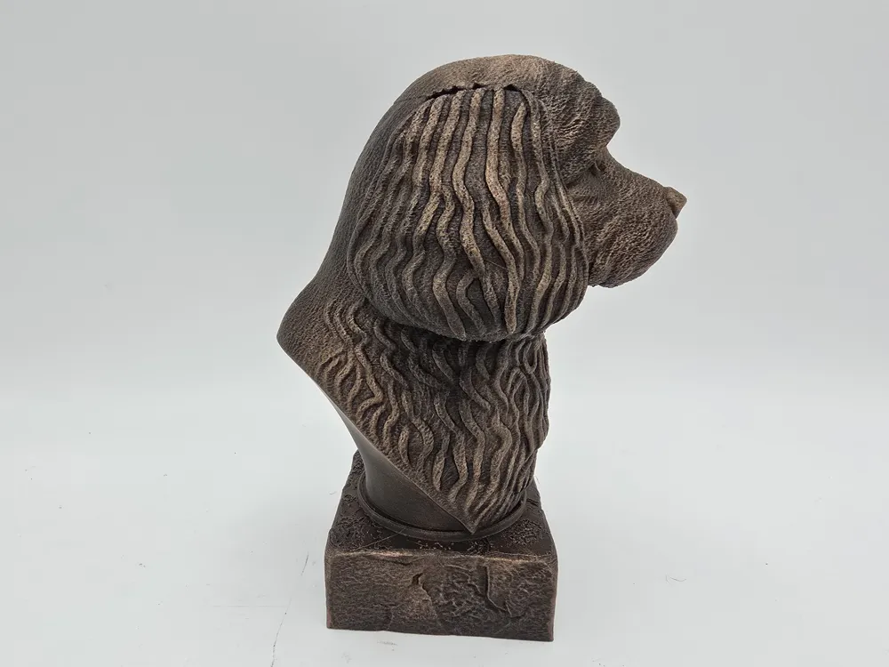CAVAPOO BUST by Messy_Panda MakerWorld: Download Free 3D Models