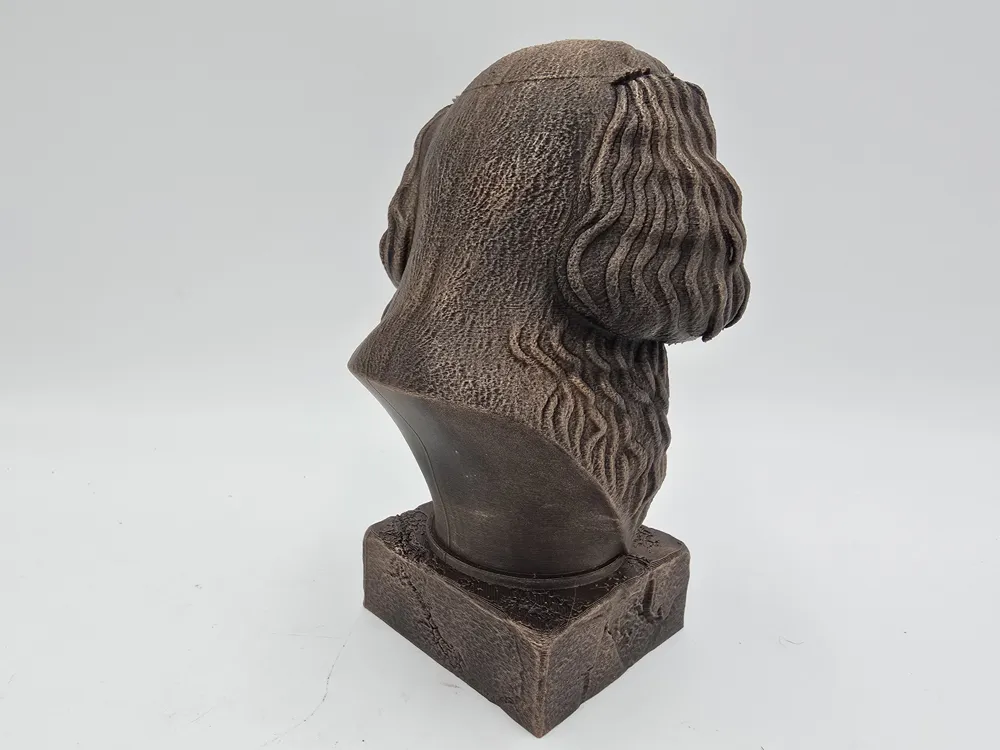 CAVAPOO BUST by Messy_Panda MakerWorld: Download Free 3D Models