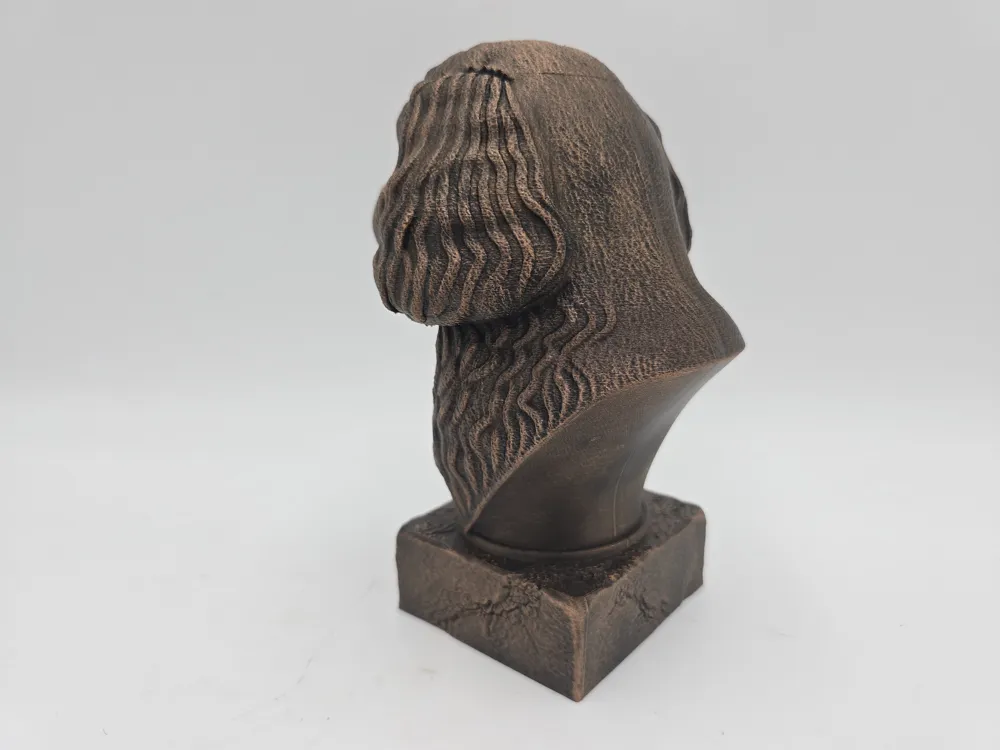 CAVAPOO BUST by Messy_Panda MakerWorld: Download Free 3D Models