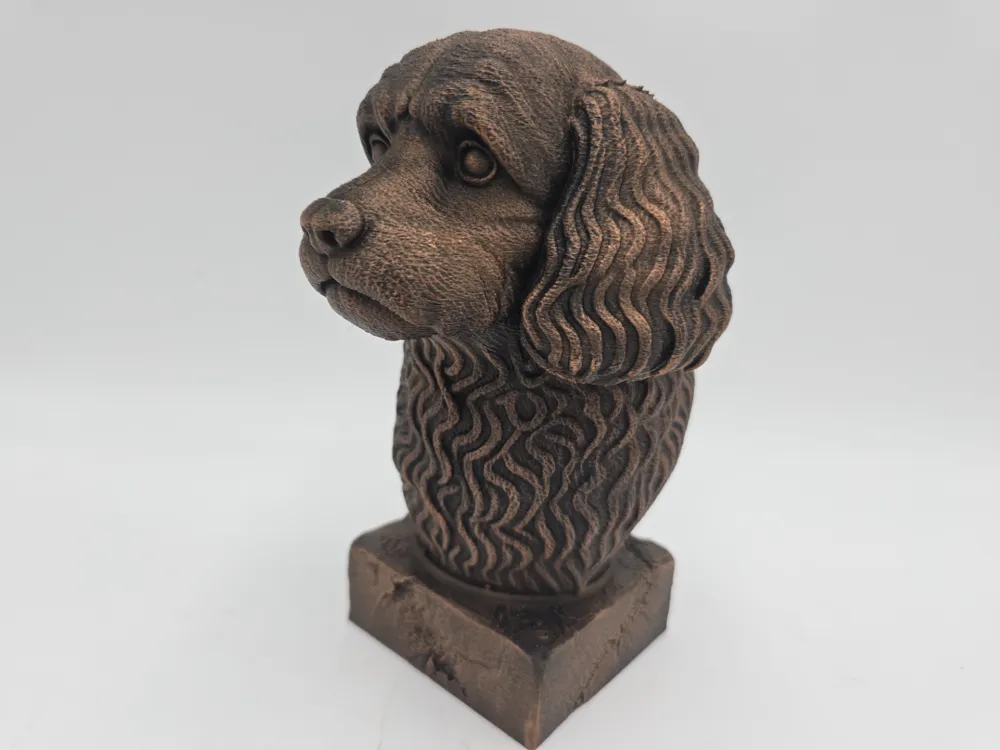 CAVAPOO BUST by Messy_Panda MakerWorld: Download Free 3D Models