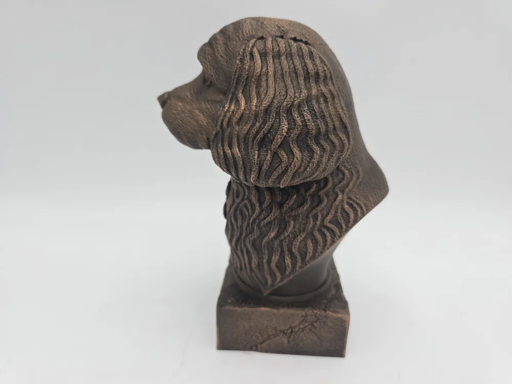 CAVAPOO BUST by Messy_Panda MakerWorld: Download Free 3D Models