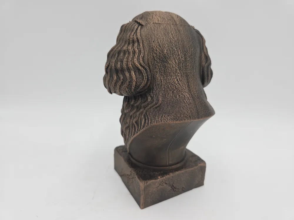 CAVAPOO BUST by Messy_Panda MakerWorld: Download Free 3D Models