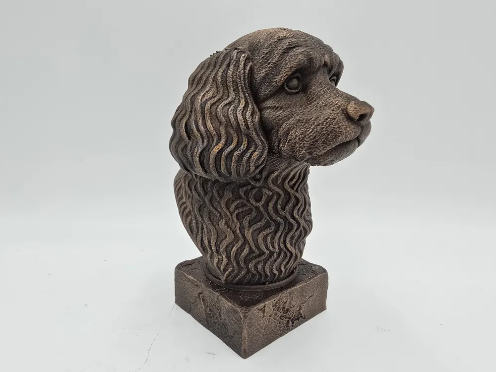 CAVAPOO BUST by Messy_Panda MakerWorld: Download Free 3D Models