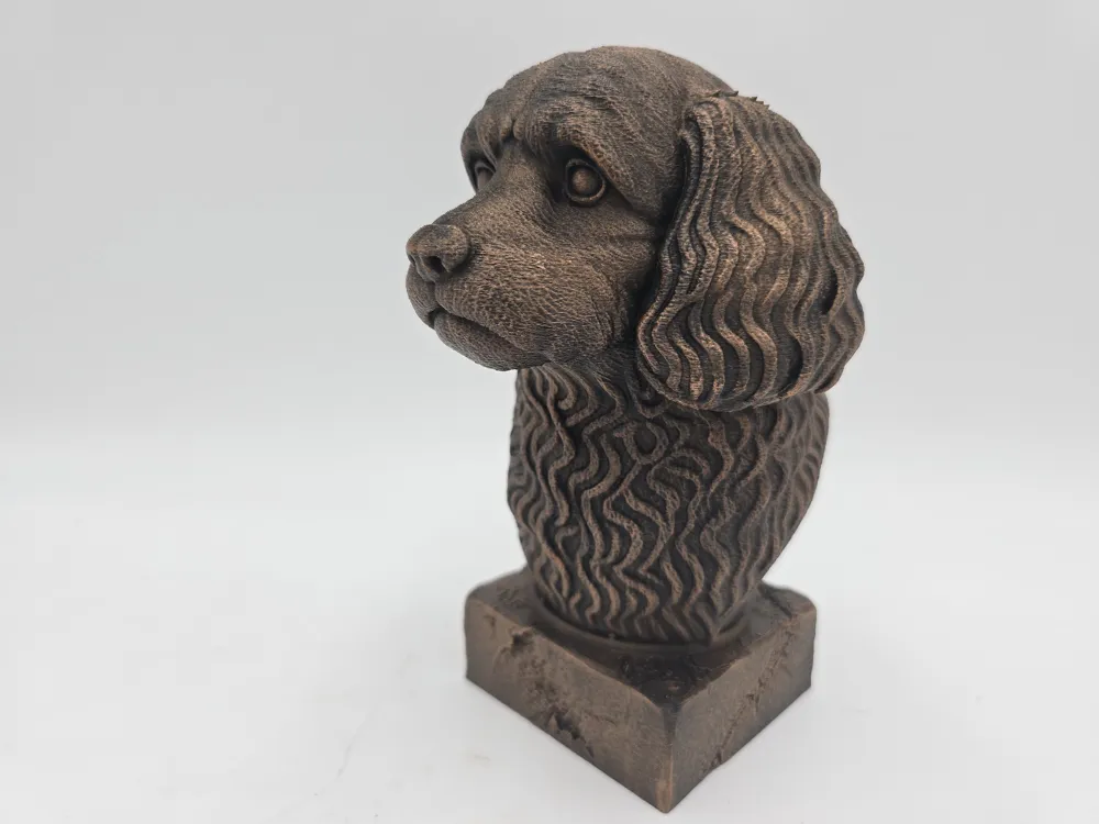 CAVAPOO BUST by Messy_Panda MakerWorld: Download Free 3D Models
