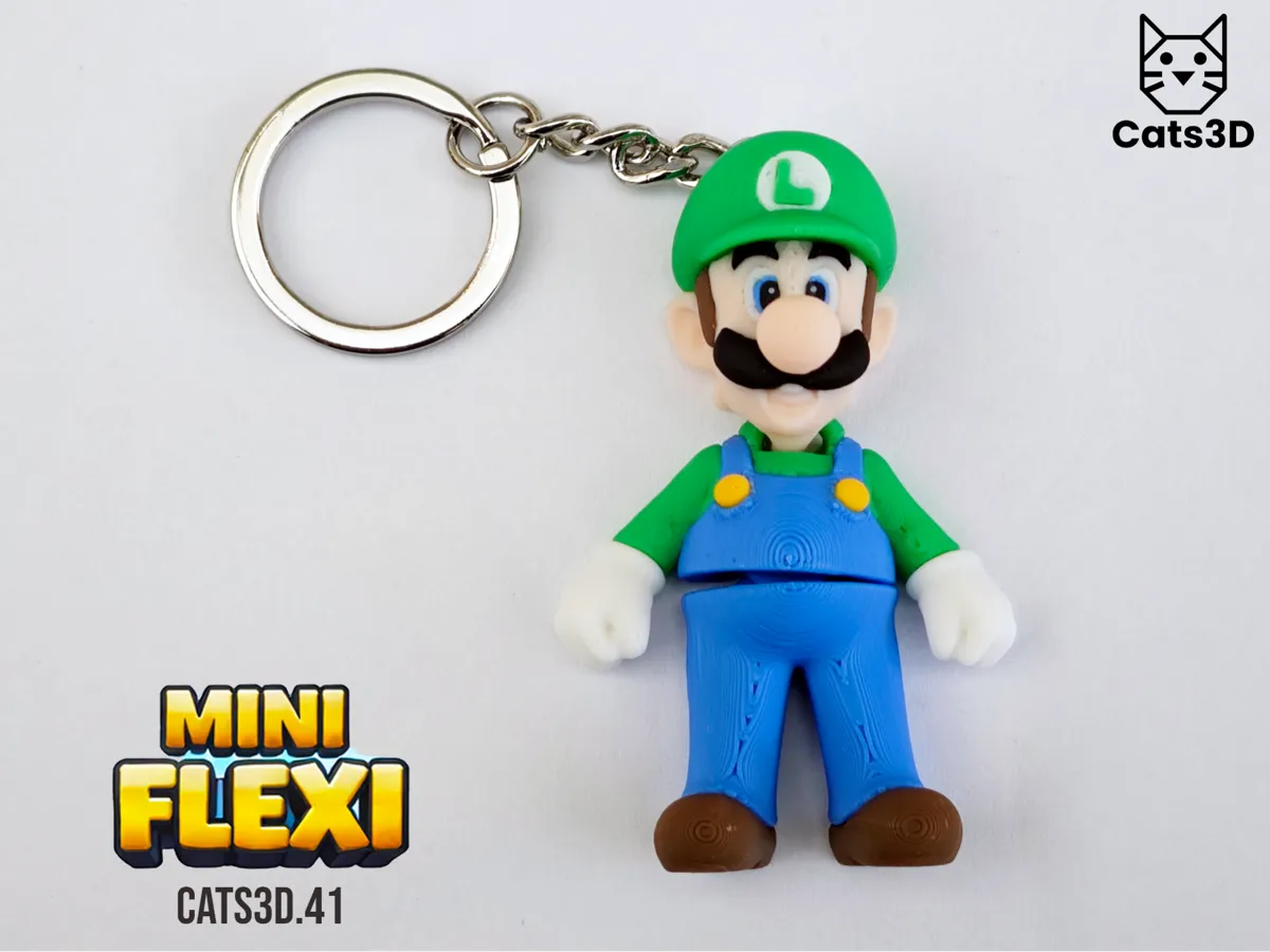 Luigi – Mini Flexi Keychain (Super Mario) - Free 3D Print Model ...