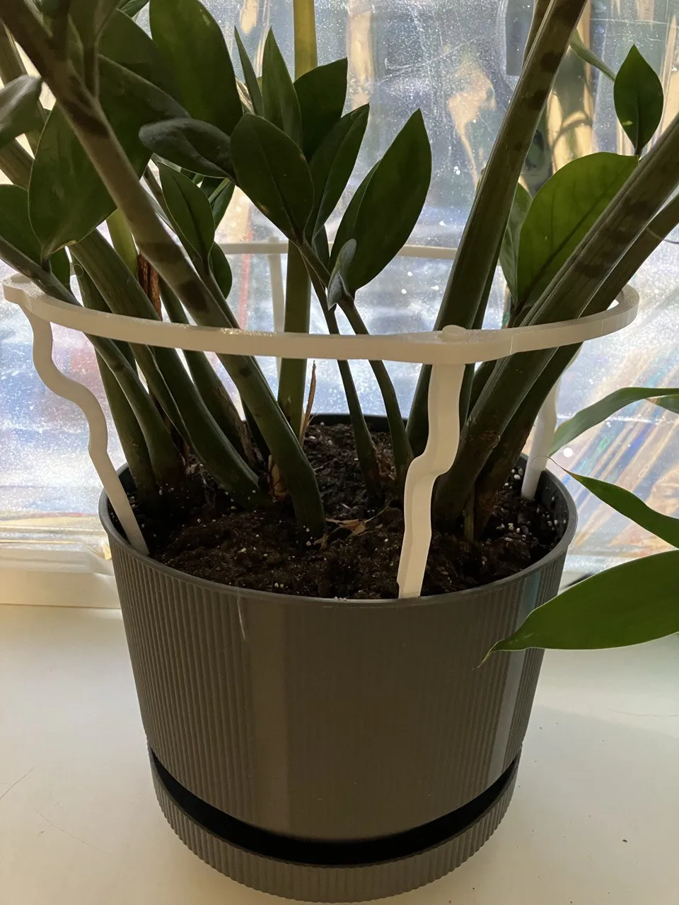 Plant Support Ring for Potted Plants – Stem Holder - Free 3D Print ...