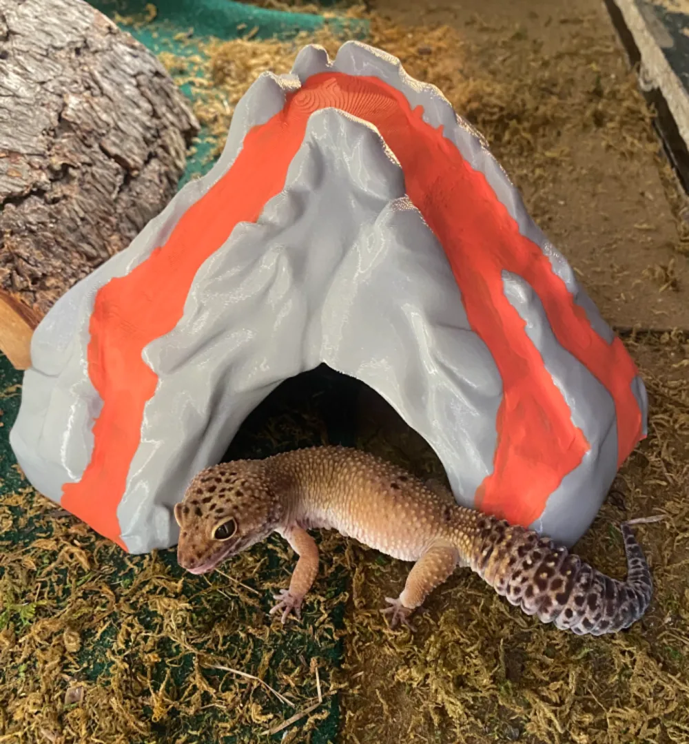 Volcano - Reptile Hide by Ninjake 3Designs MakerWorld: Download Free 3D ...