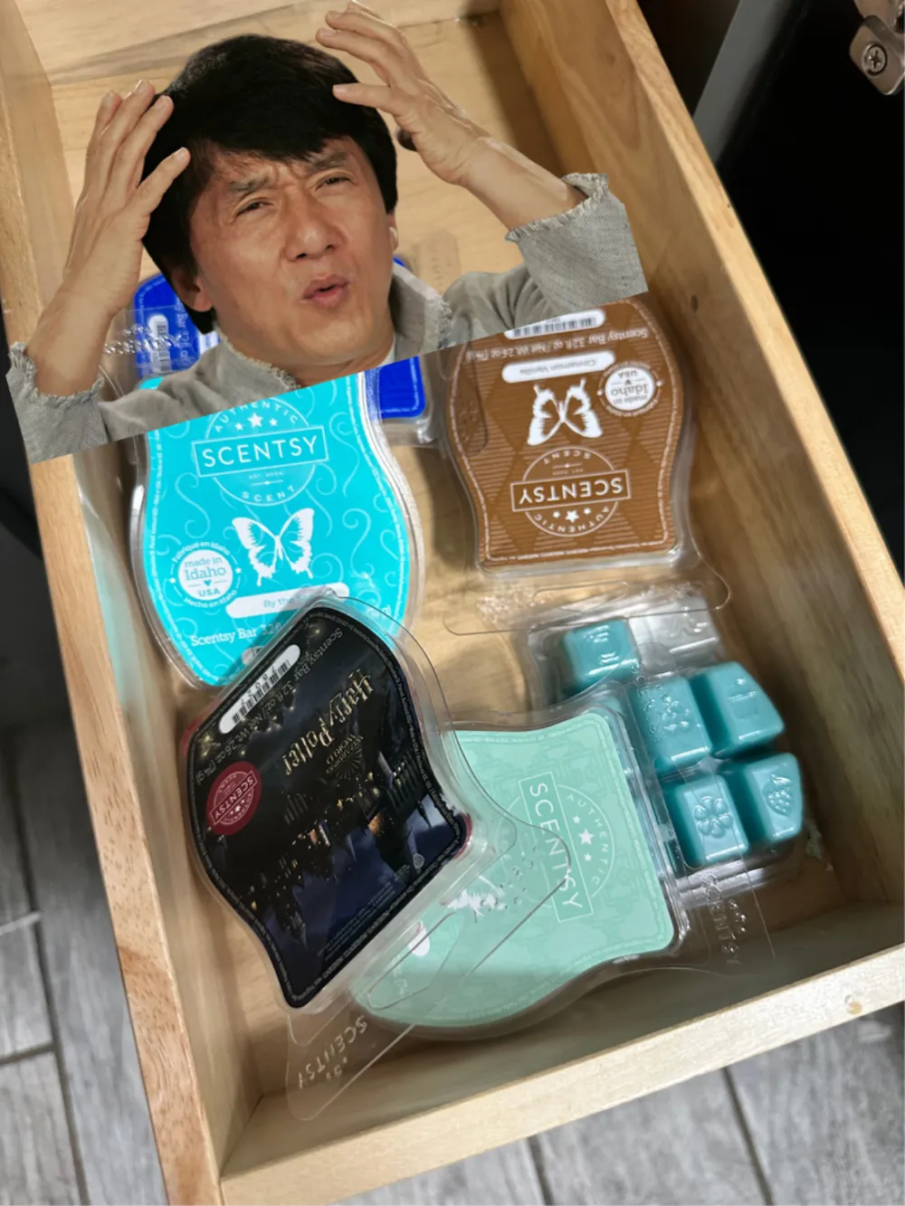 Scentsy Wax Organizer by GeoTheRipper - MakerWorld