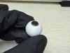 Eyliens – Rotatable Eyeball Alien No AMS / No Glue - Free 3D Print ...