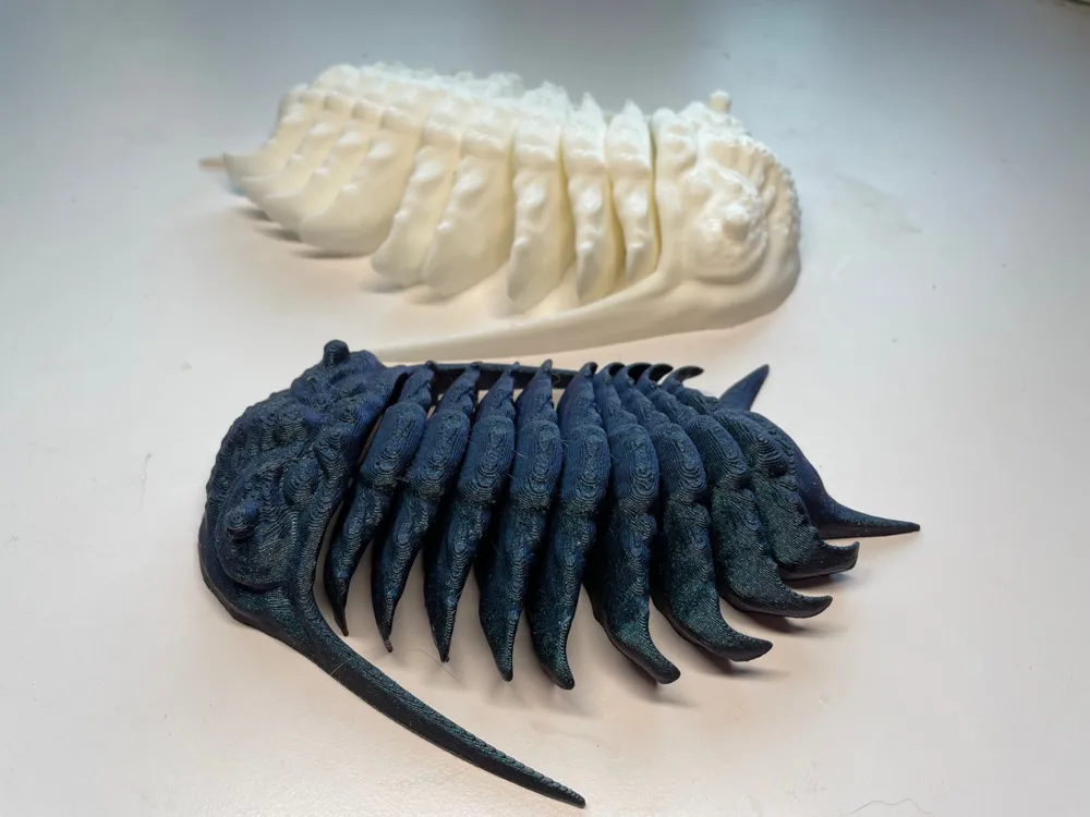 Trilobite: Ceraurus by Auntie Fa - MakerWorld