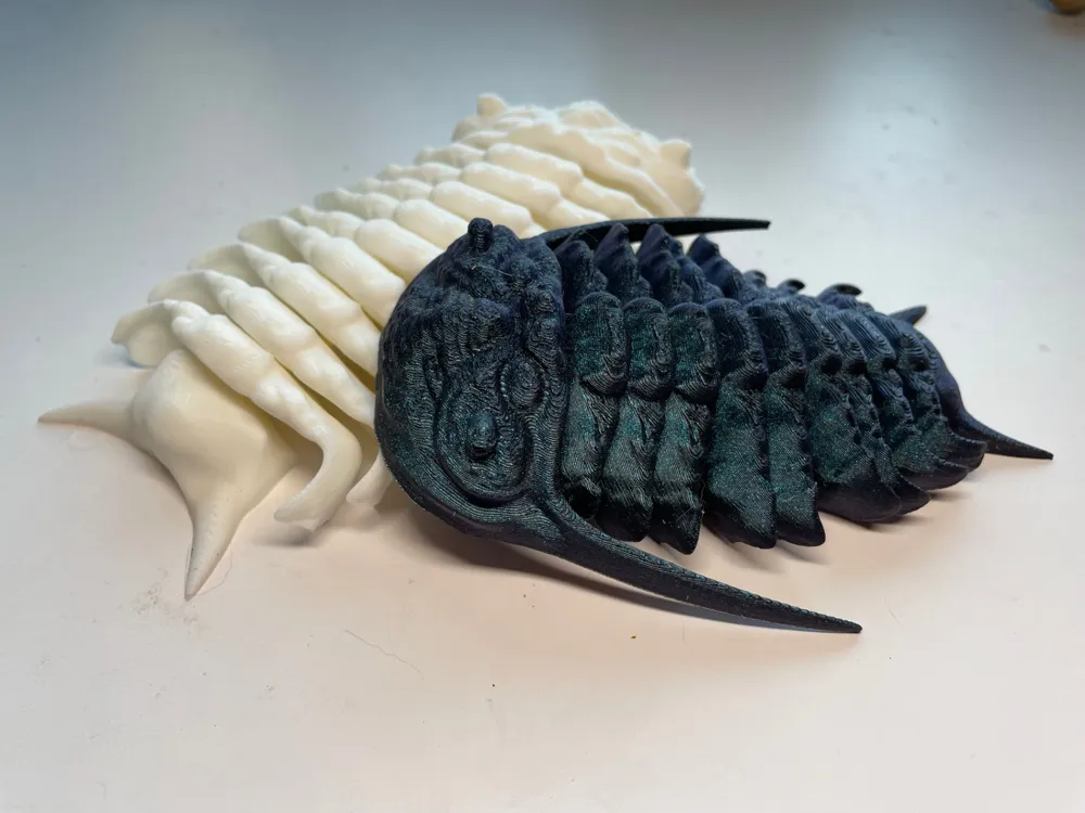 Trilobite: Ceraurus by Auntie Fa - MakerWorld