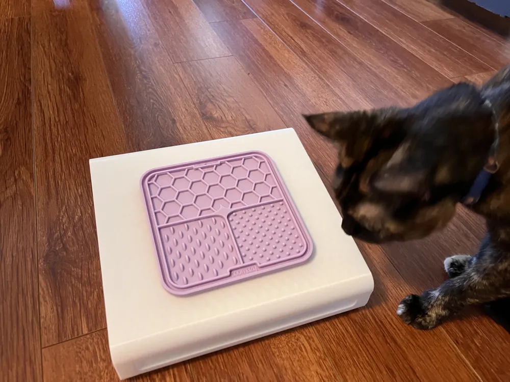 Cat Food Stand by myth.ethical.0c - MakerWorld