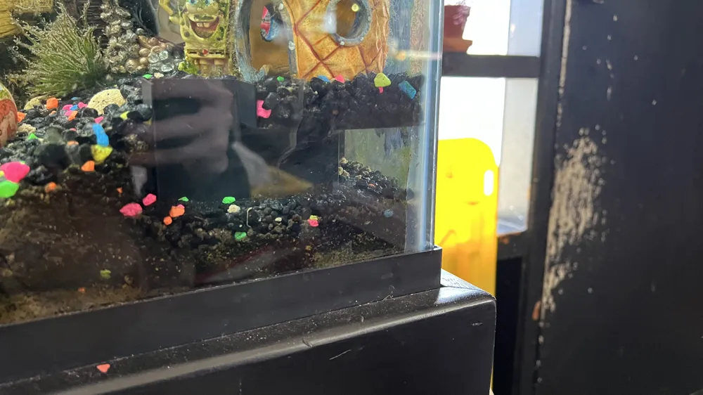 Independent Entrance Channels for Fish Tank by Tyler Leblanc MakerWorld ...