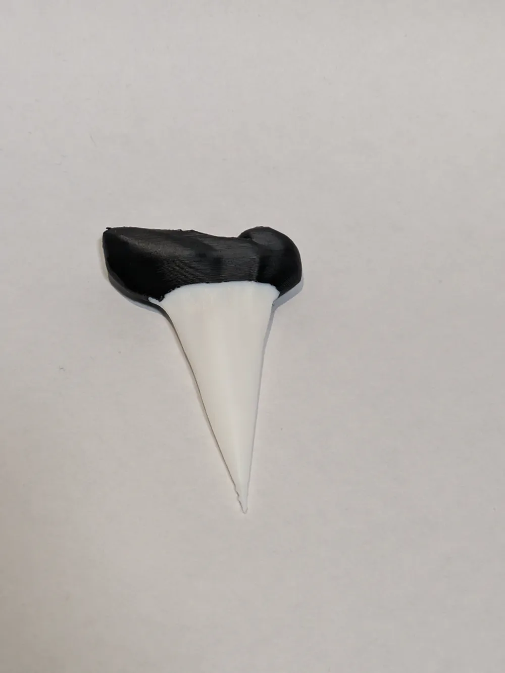 Simple Shark Tooth - Free 3D Print Model - MakerWorld