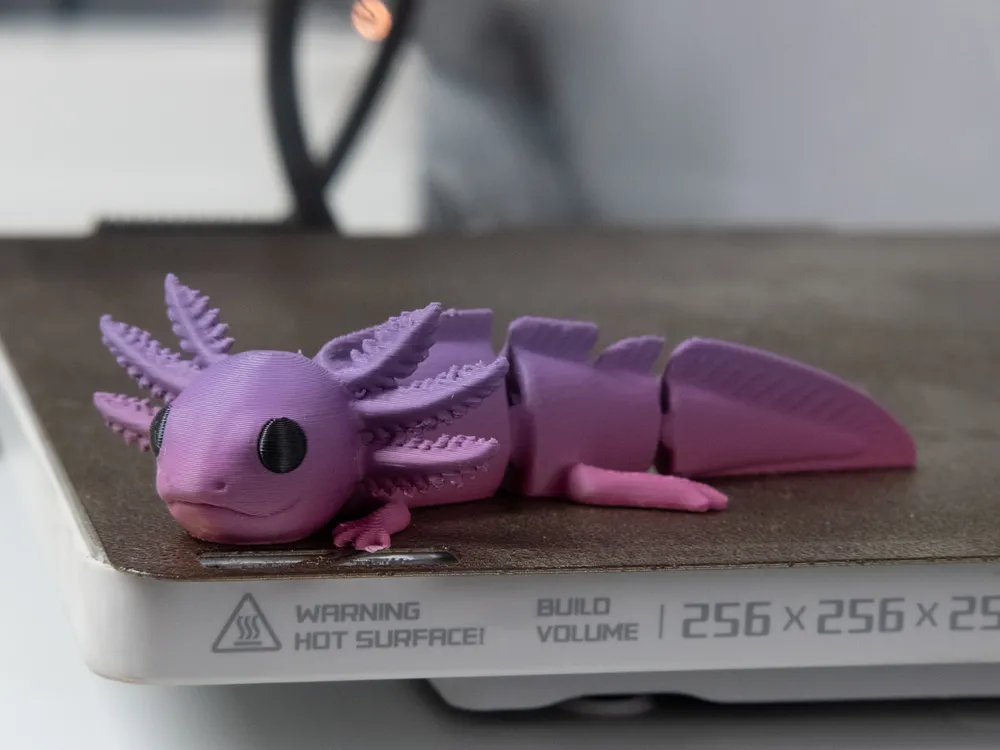 Little Axolotl | Articulated - Free 3D Print Model - MakerWorld
