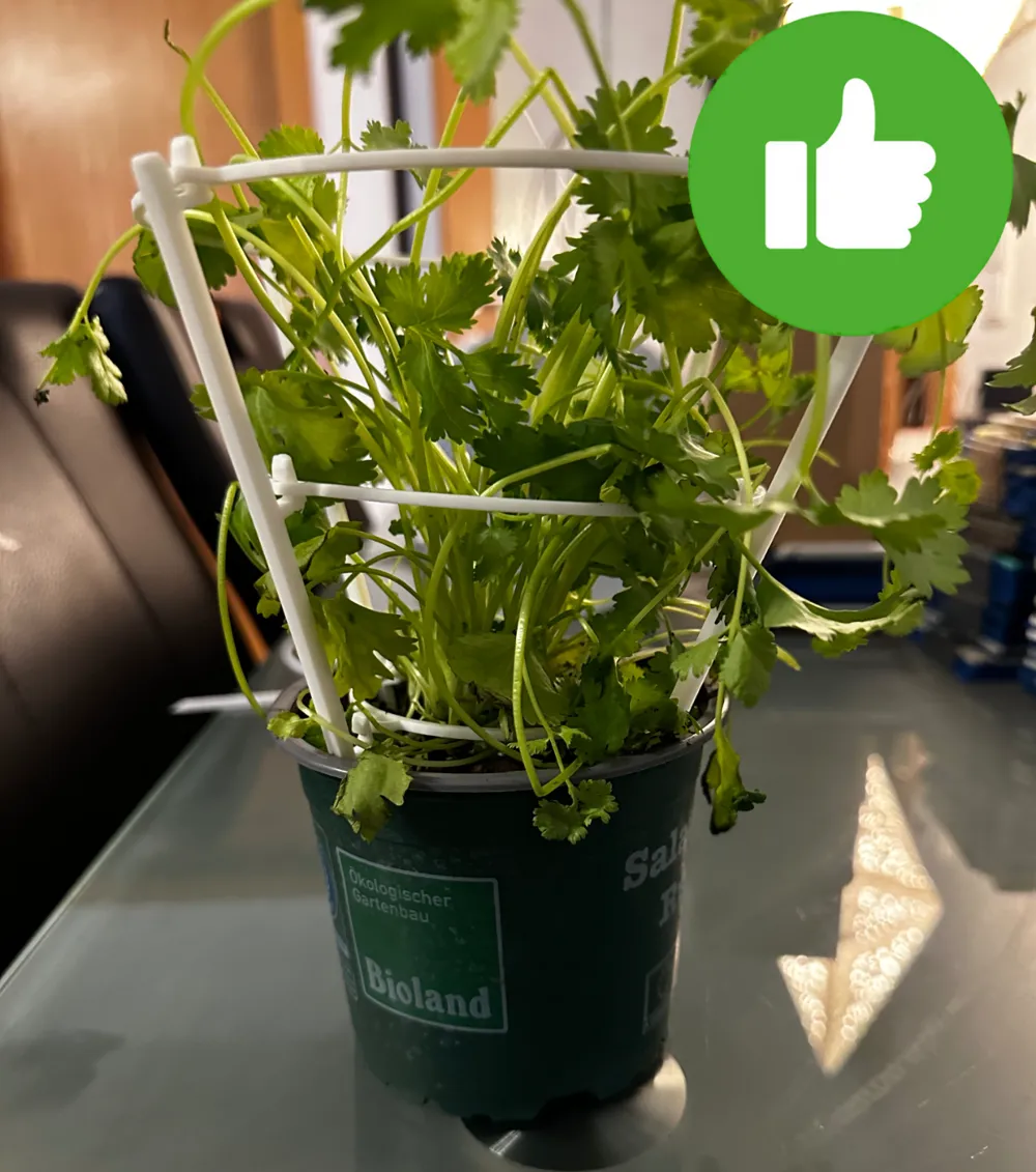 Plant Guardian - Support for tired plants by MrHeli - MakerWorld