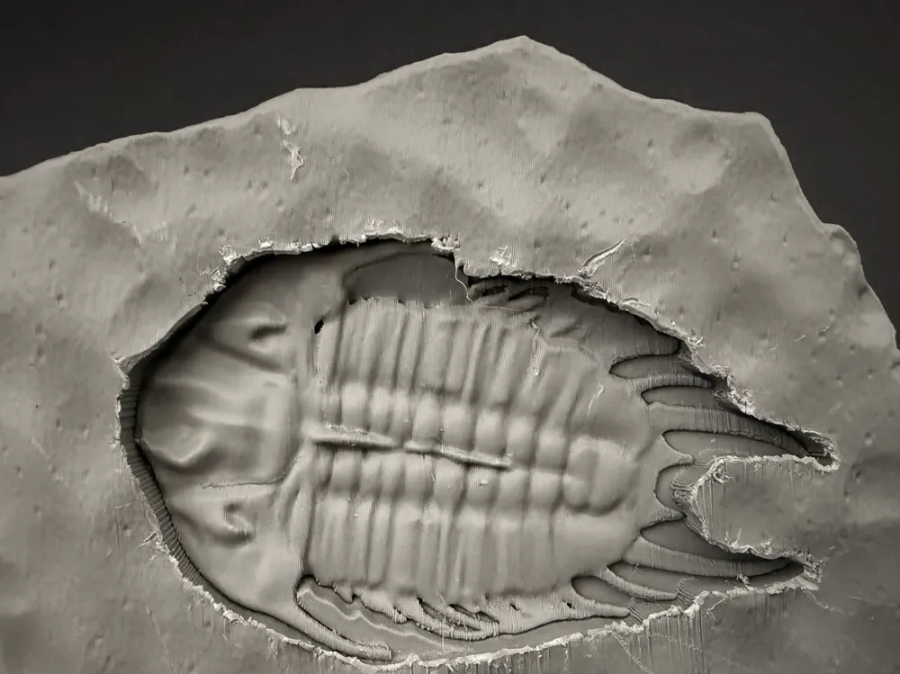 Fossil Excavation by WangRY MakerWorld: Download Free 3D Models