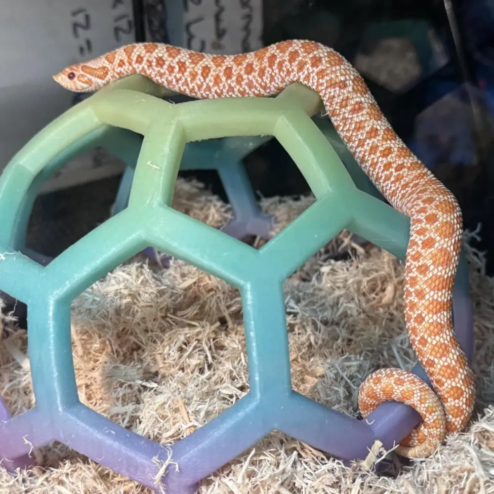 Snake Playground Snake Climbing Enrichment by SB MakerWorld: Download ...