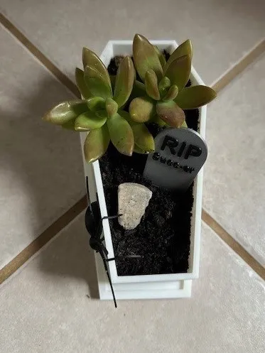 Halloween Coffin Planter by R&N Kustoms - MakerWorld
