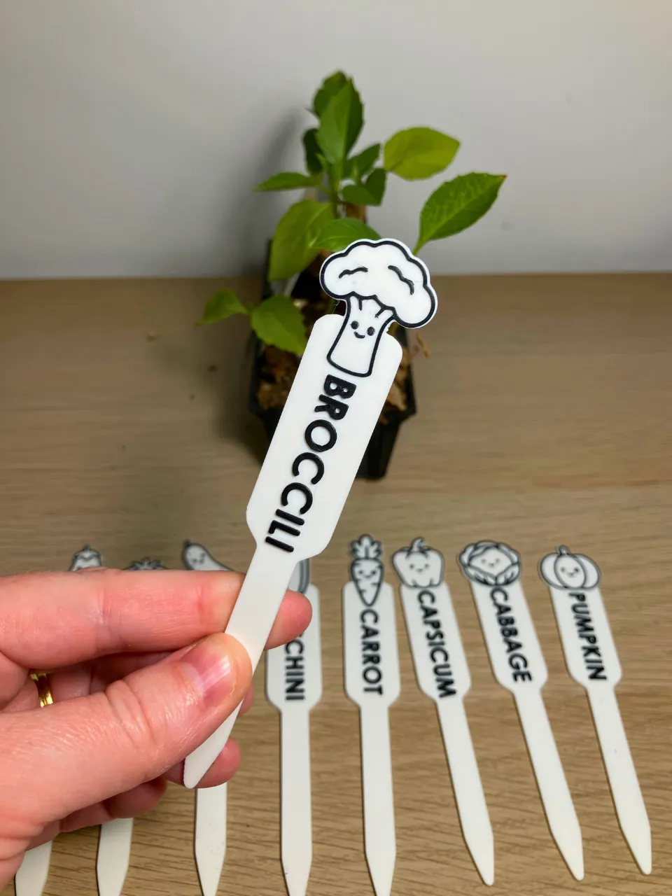 Cute Veggie Garden Stick Set - Free 3D Print Model - MakerWorld