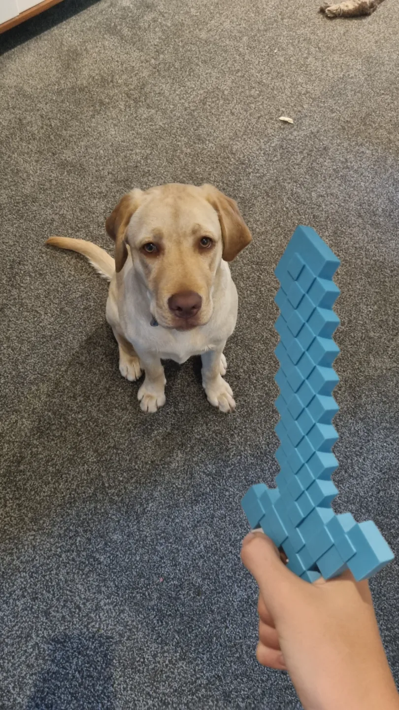 Minecraft Sword - Free 3D Print Model - MakerWorld