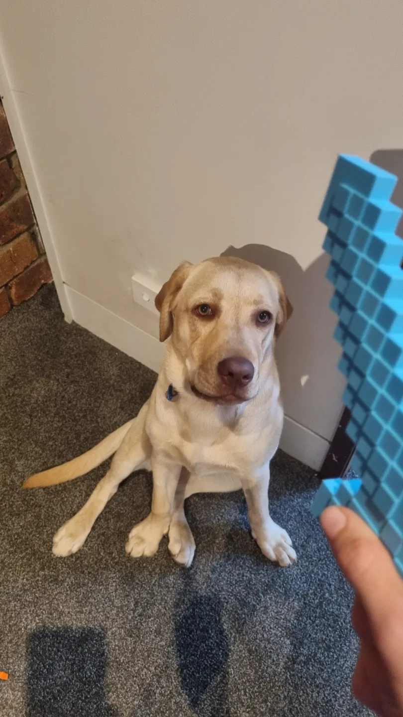 Épée Minecraft par renaldo - MakerWorld