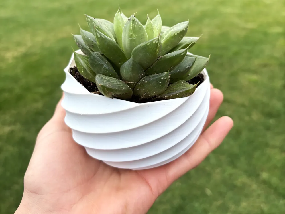 Cactus pot - Free 3D Print Model - MakerWorld