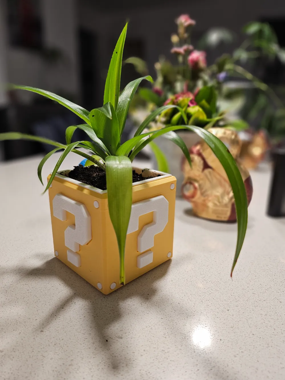 Super Mario Question Mark Self watering Planter by Tommy Gun - MakerWorld