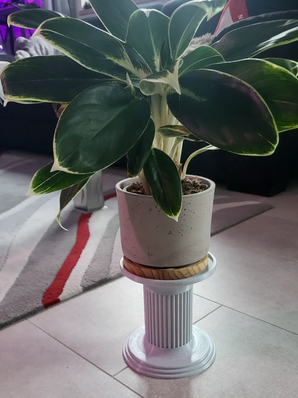 Plant column by wolke - MakerWorld