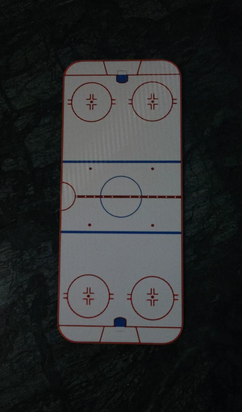 Mini Hockey Rink the ultimate hockey lover’s decor by Rockthered ...