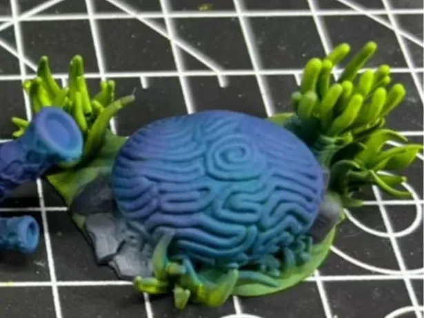 Brain Coral by pokemon player - MakerWorld