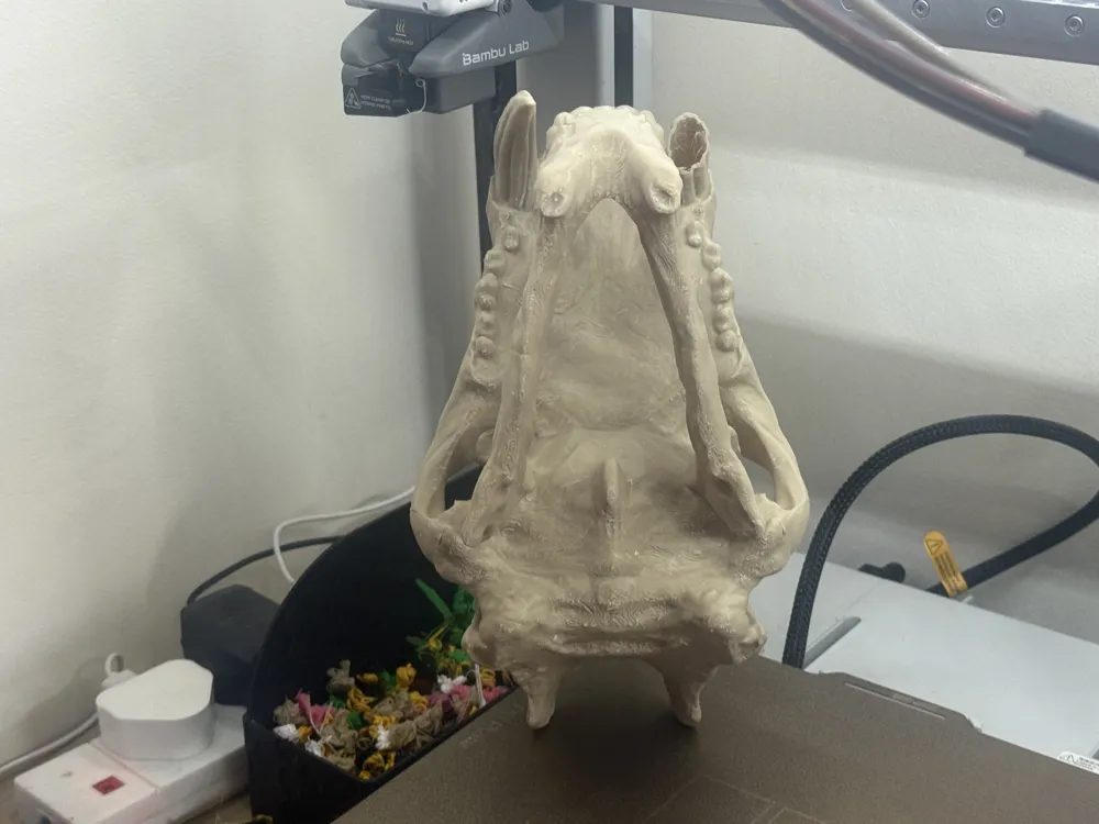 Sabertooth Tiger Skull (Smilodon) – Realistic - Free 3D Print Model ...