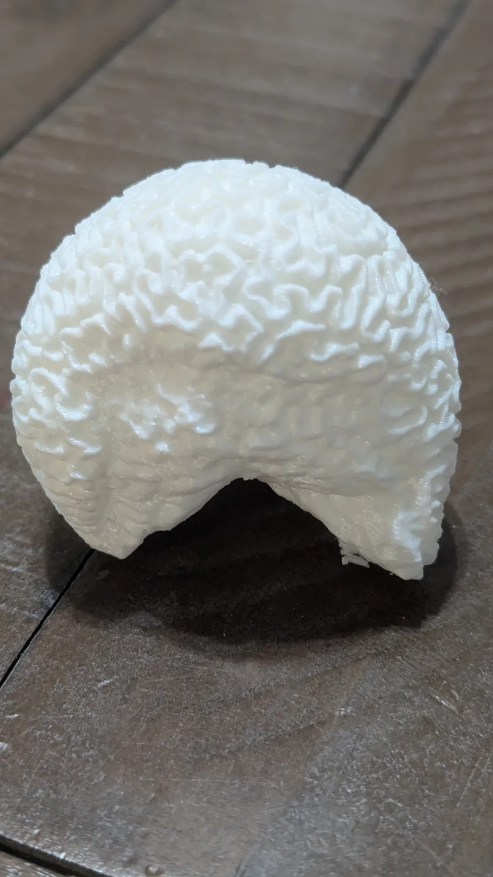 Knurled brain Coral by InnovatorBeerJr MakerWorld: Download Free 3D Models