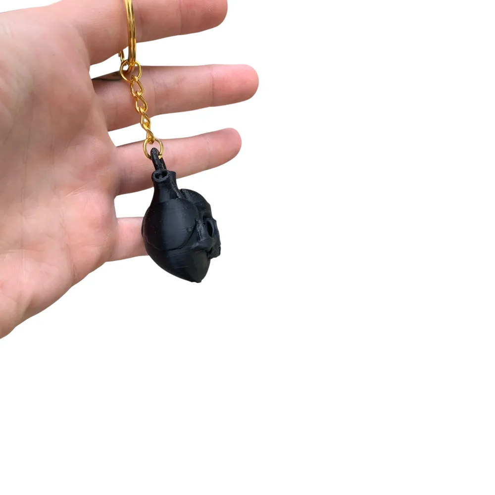 Skull Heart Pendant, Anatomical Heart Skull - Free 3D Print Model ...