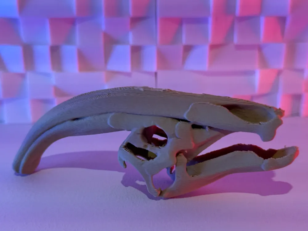 Parasaur Skull (5-20 Grams) by Sven MakerWorld: Download Free 3D Models