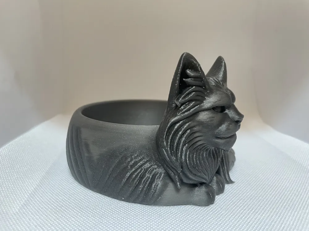 Maine Coon Cat – Regal Feline Dish or Catchall by BlackMarketier ...