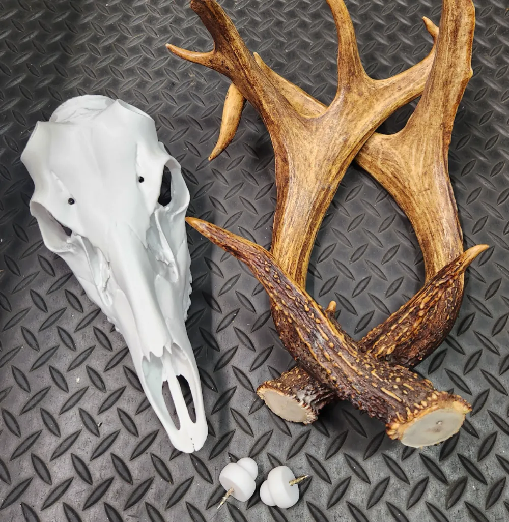 Deer Skull Antler Mount - New Snap/Lock antlers - Free 3D Print Model ...