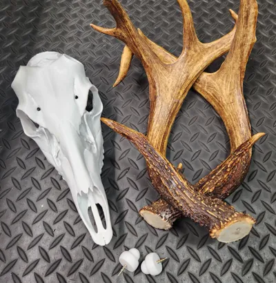 Deer Skull Antler Mount - New Snap/Lock antlers - Free 3D Print Model ...