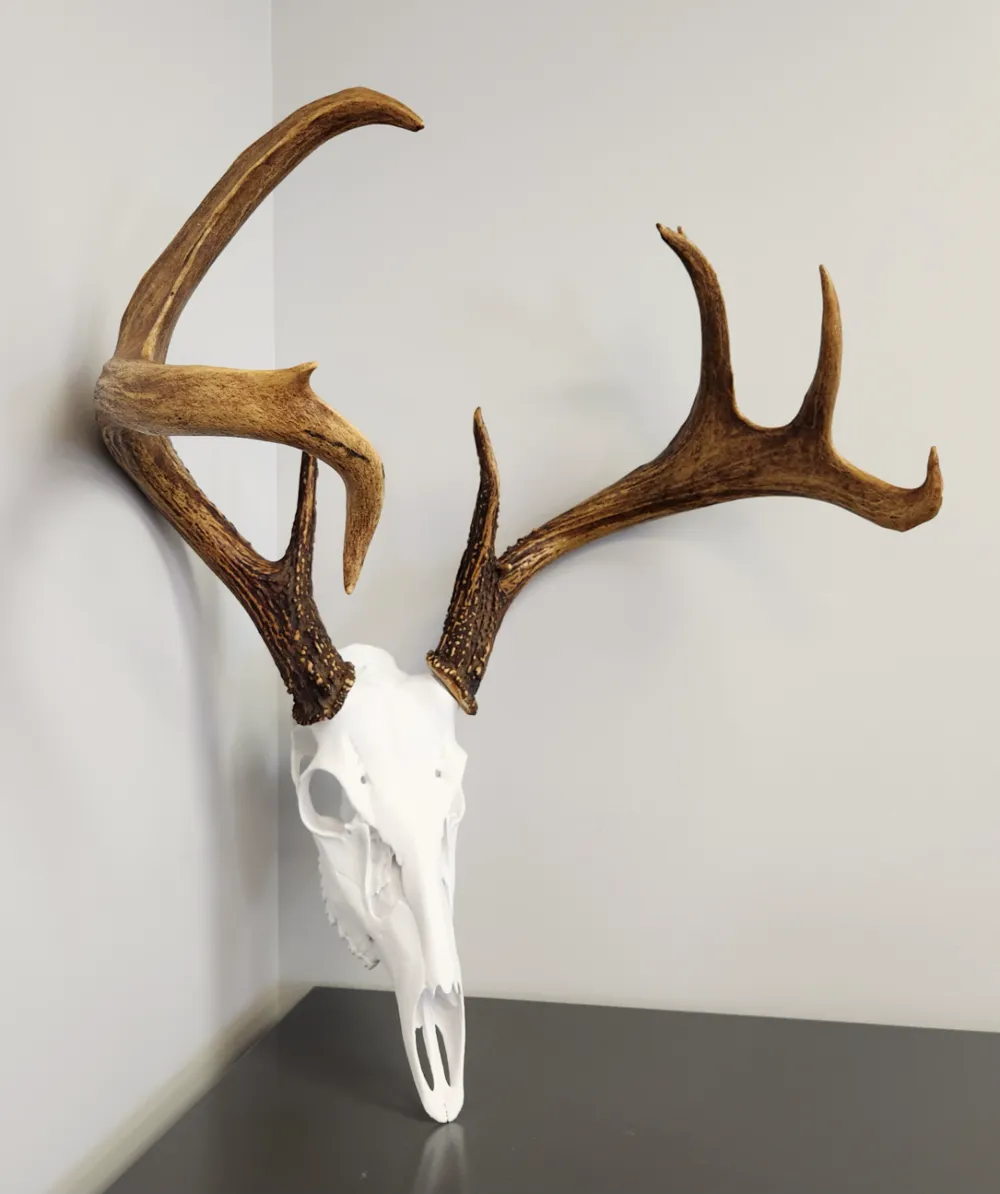 Deer Skull Antler Mount - New Snap/Lock antlers by DTM247 MakerWorld ...