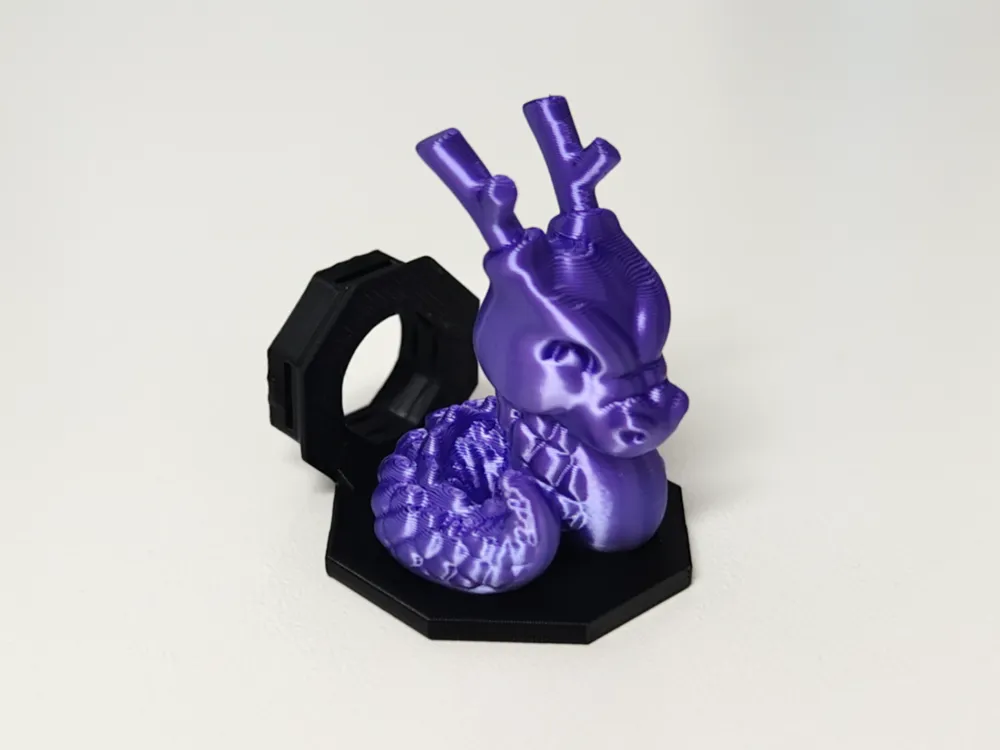 Cali-Dragon Multiboard Display Stand by Maggotslair - MakerWorld