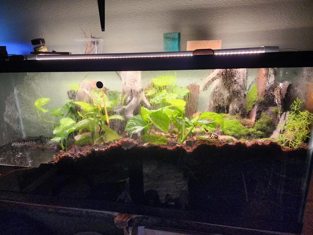 Aquarium/Terrarium Egg Crate for Hardscape and Plant/Moss Propogation ...