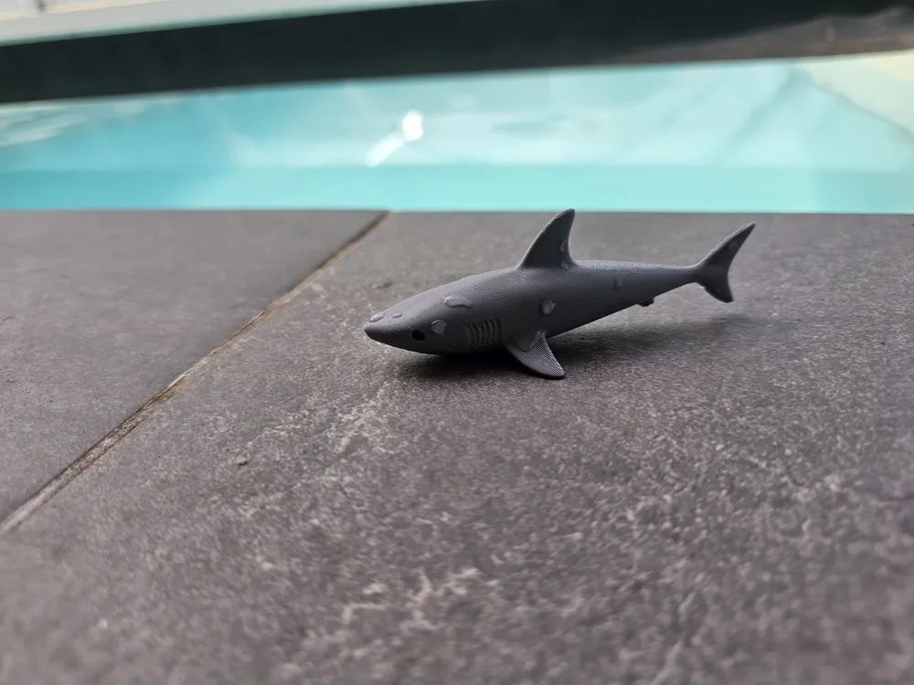 Floating Shark / Fish for Pool - Free 3D Print Model - MakerWorld