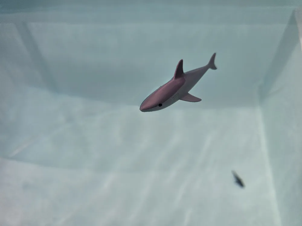 Floating Shark / Fish for Pool - Free 3D Print Model - MakerWorld