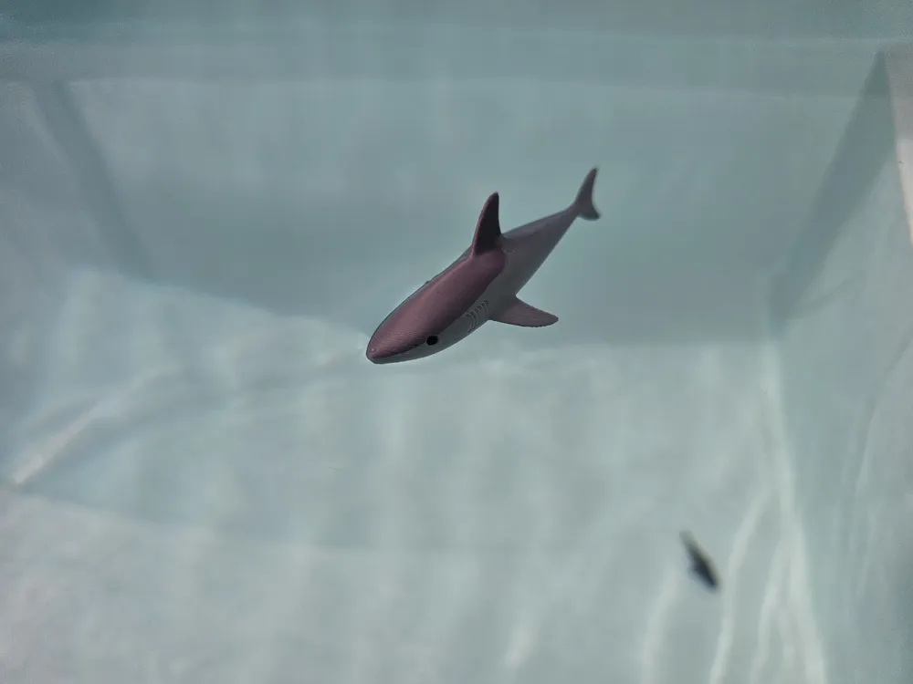 Floating Shark / Fish for Pool - Free 3D Print Model - MakerWorld