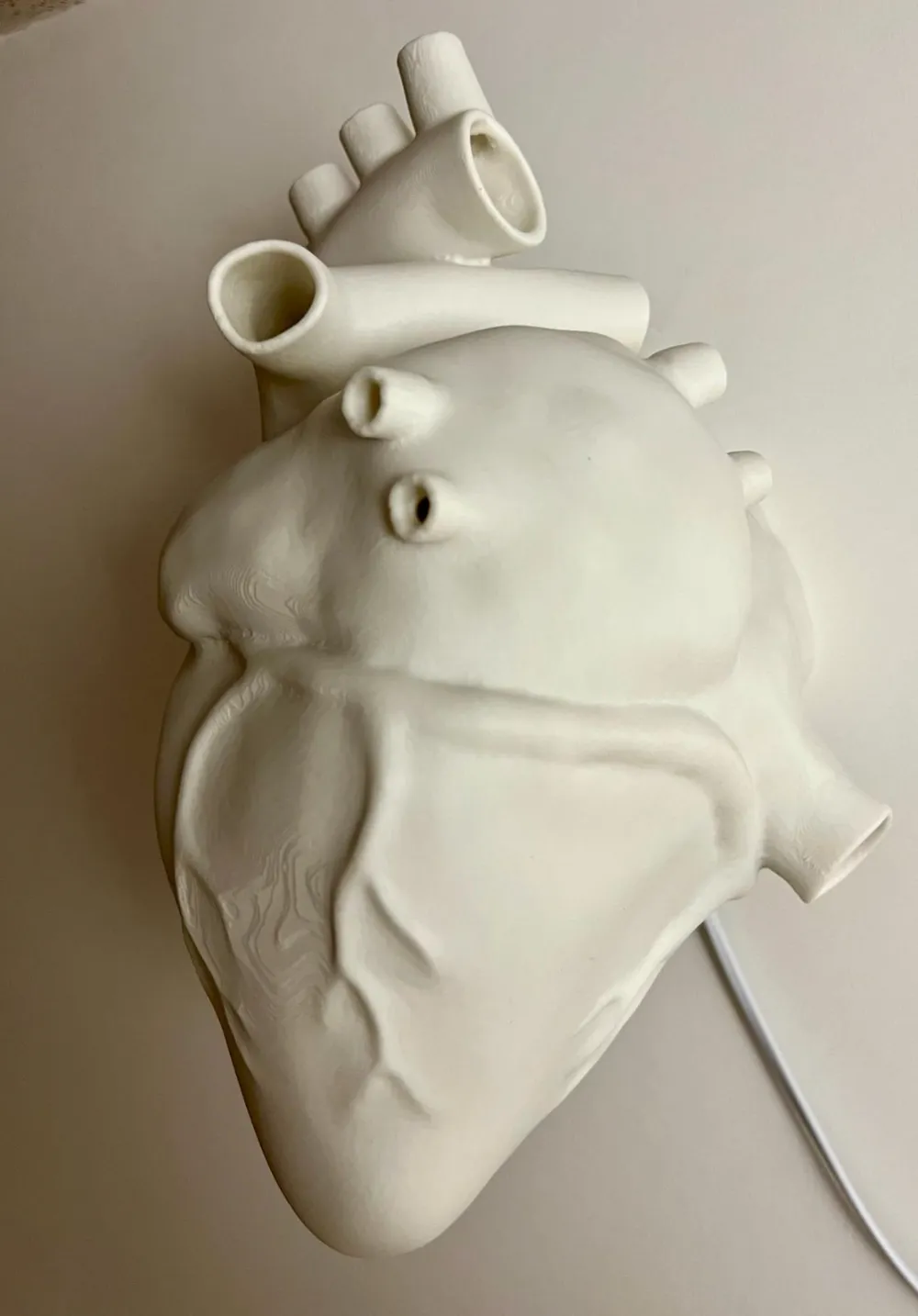 Anatomical Heart Lamp by leocaimmi - MakerWorld