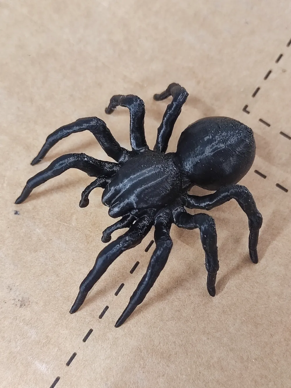 Realistic Tarantula Spider by Creatività in 3D - MakerWorld