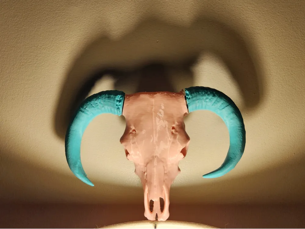 "Down" Bull Skull by DTM247 MakerWorld: Download Free 3D Models