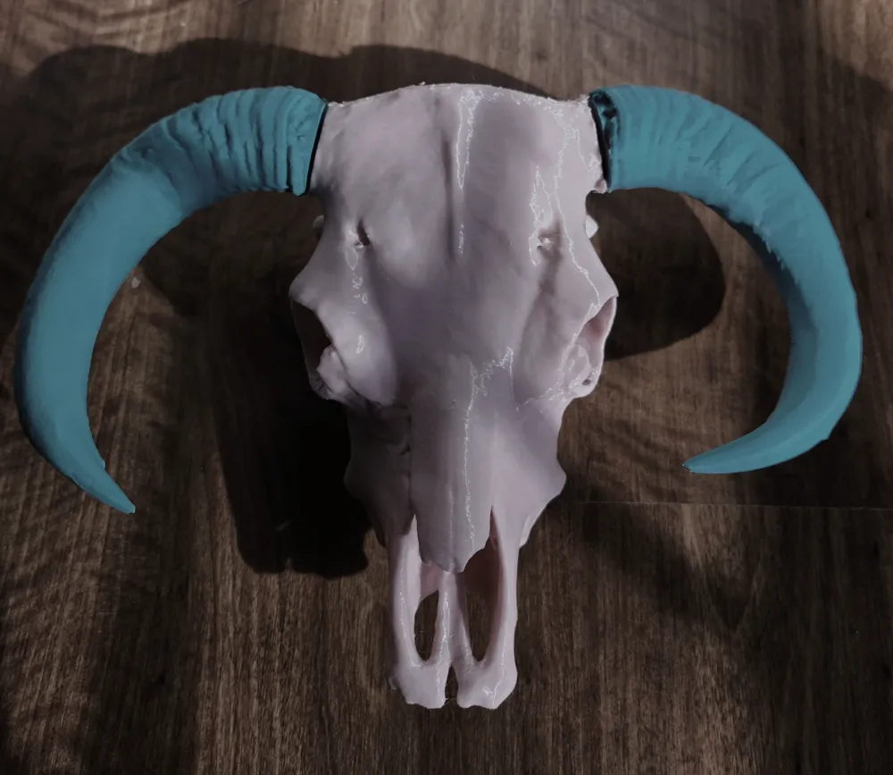 "Down" Bull Skull by DTM247 MakerWorld: Download Free 3D Models