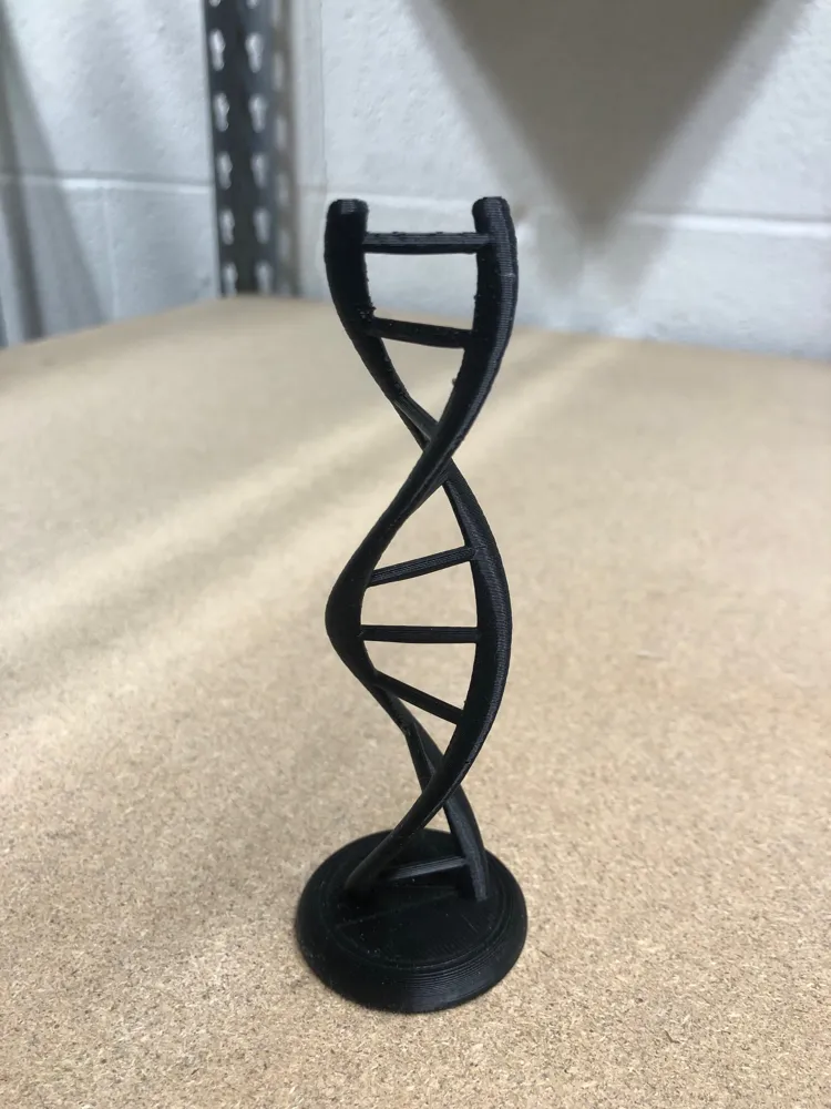 Double Helix DNA (no supports!) by LinkDesigns - MakerWorld
