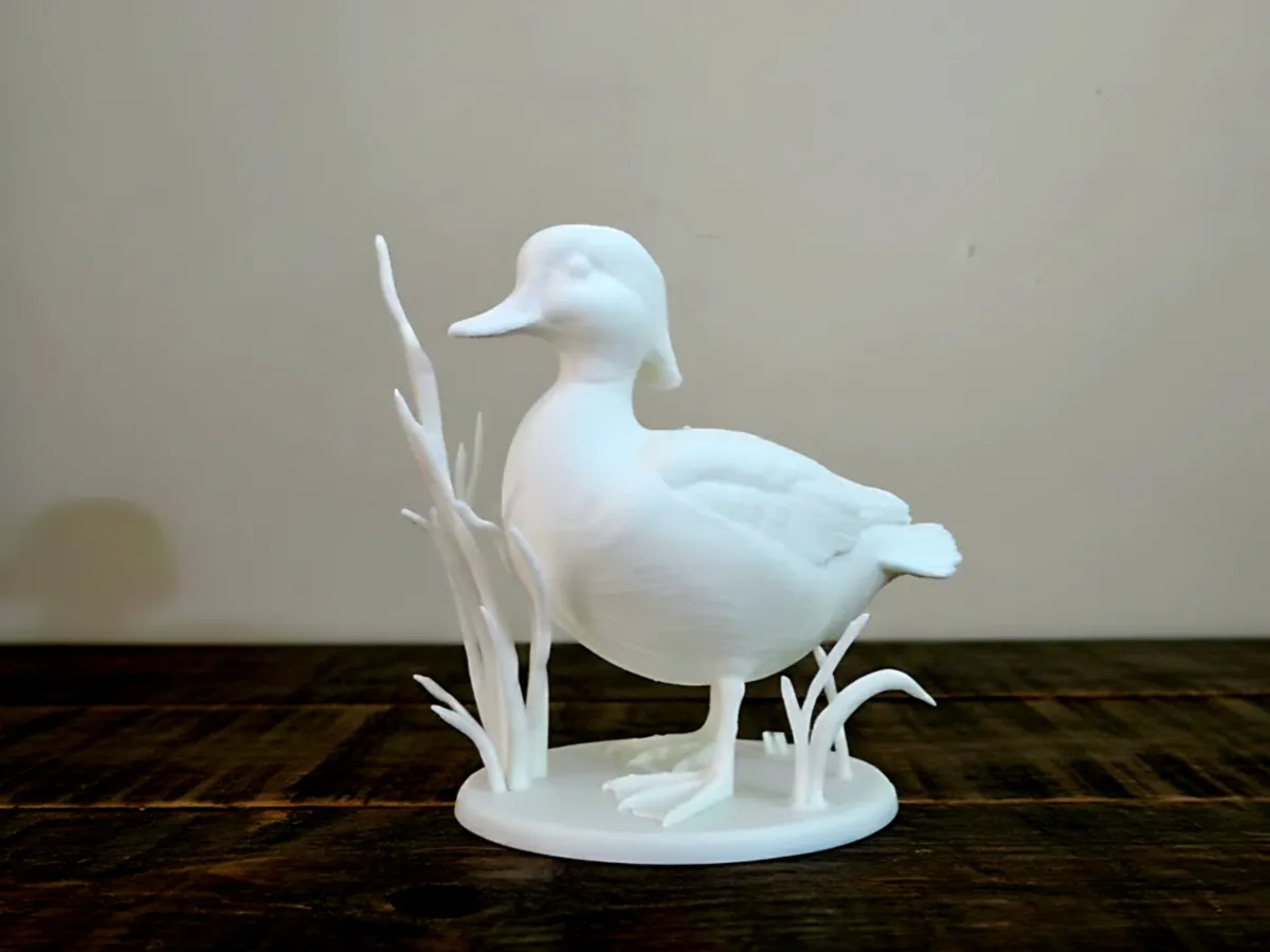 Wood Duck Sculpture - Free 3D Print Model - MakerWorld